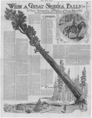 "When a Great Sequoia Falls. A Very Noteworthy Article by a Great Natur ...
